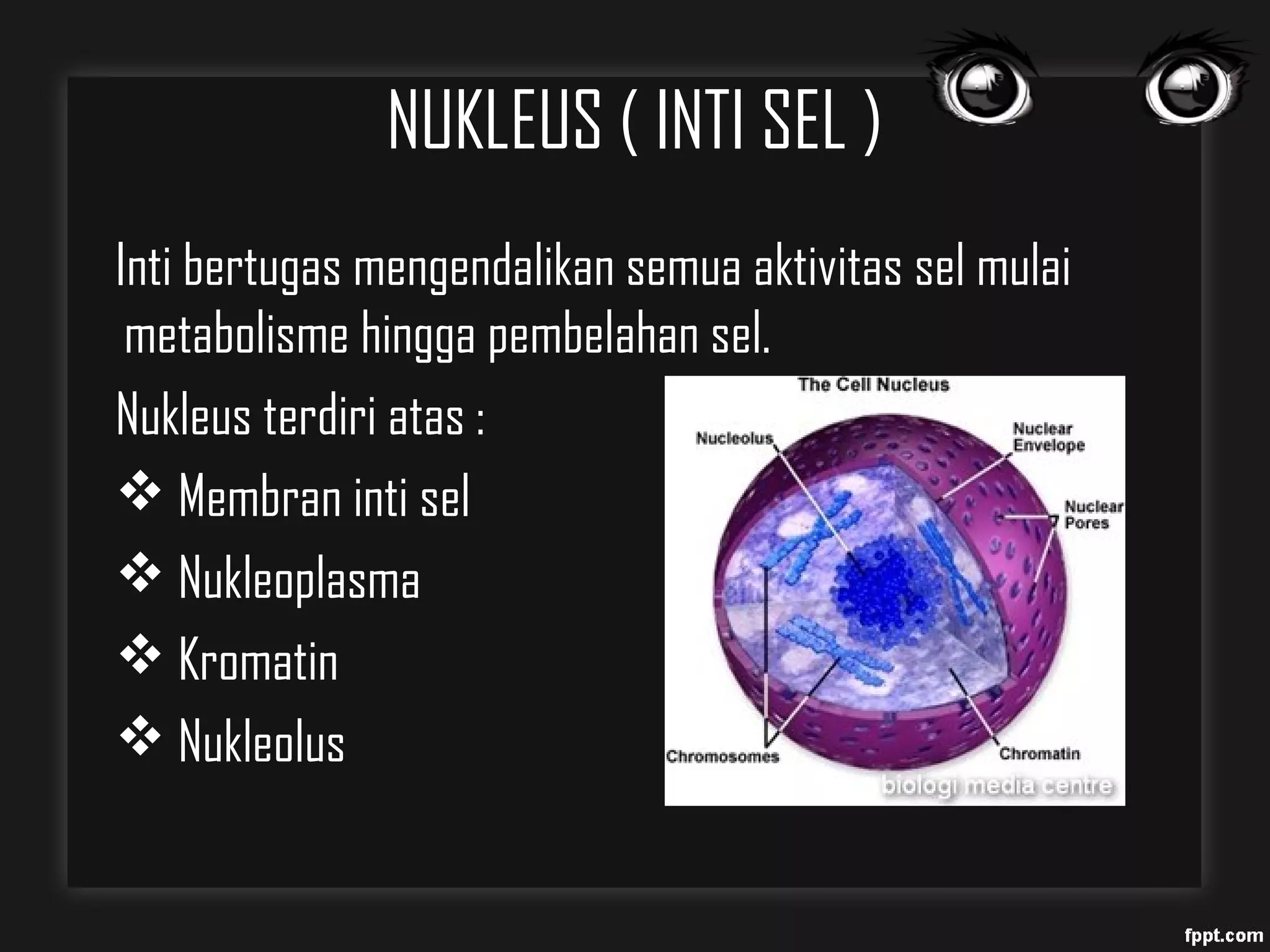 PPT ORGANEL SEL | PPT