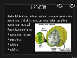 PPT ORGANEL SEL | PPT
