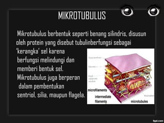 PPT ORGANEL SEL | PPT
