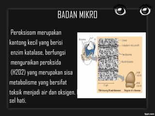 PPT ORGANEL SEL | PPT