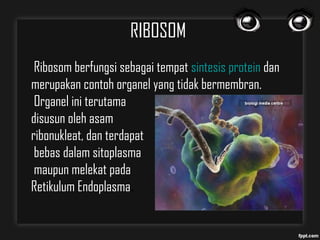 PPT ORGANEL SEL | PPT