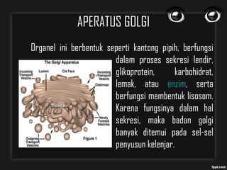 PPT ORGANEL SEL | PPT
