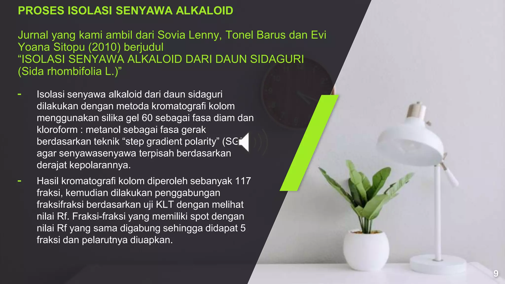 Presentasi Ppt Alkaloid | PPTX