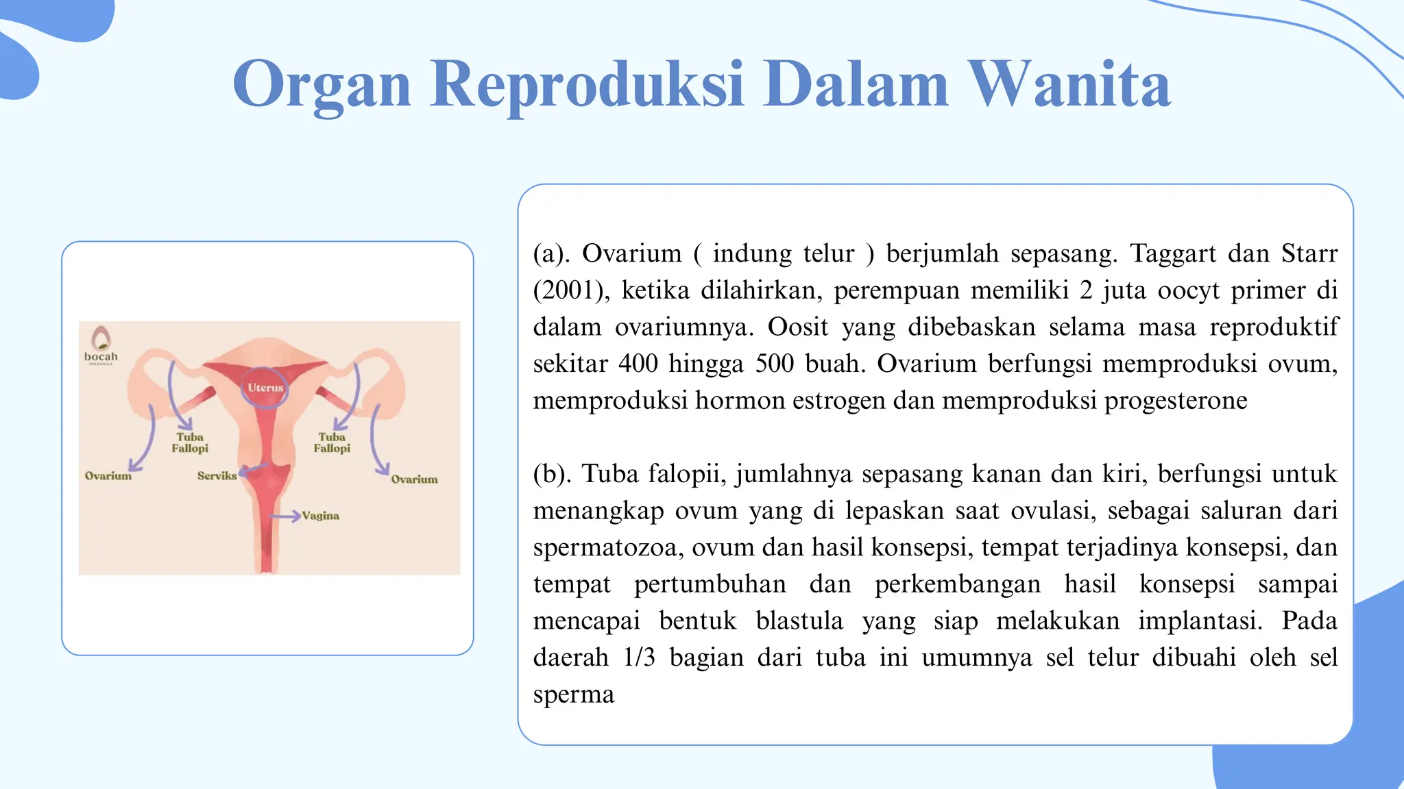 PPT SISTEM REPRODUKSI KELOMPOK 4_20250909_154637_0000.pdf