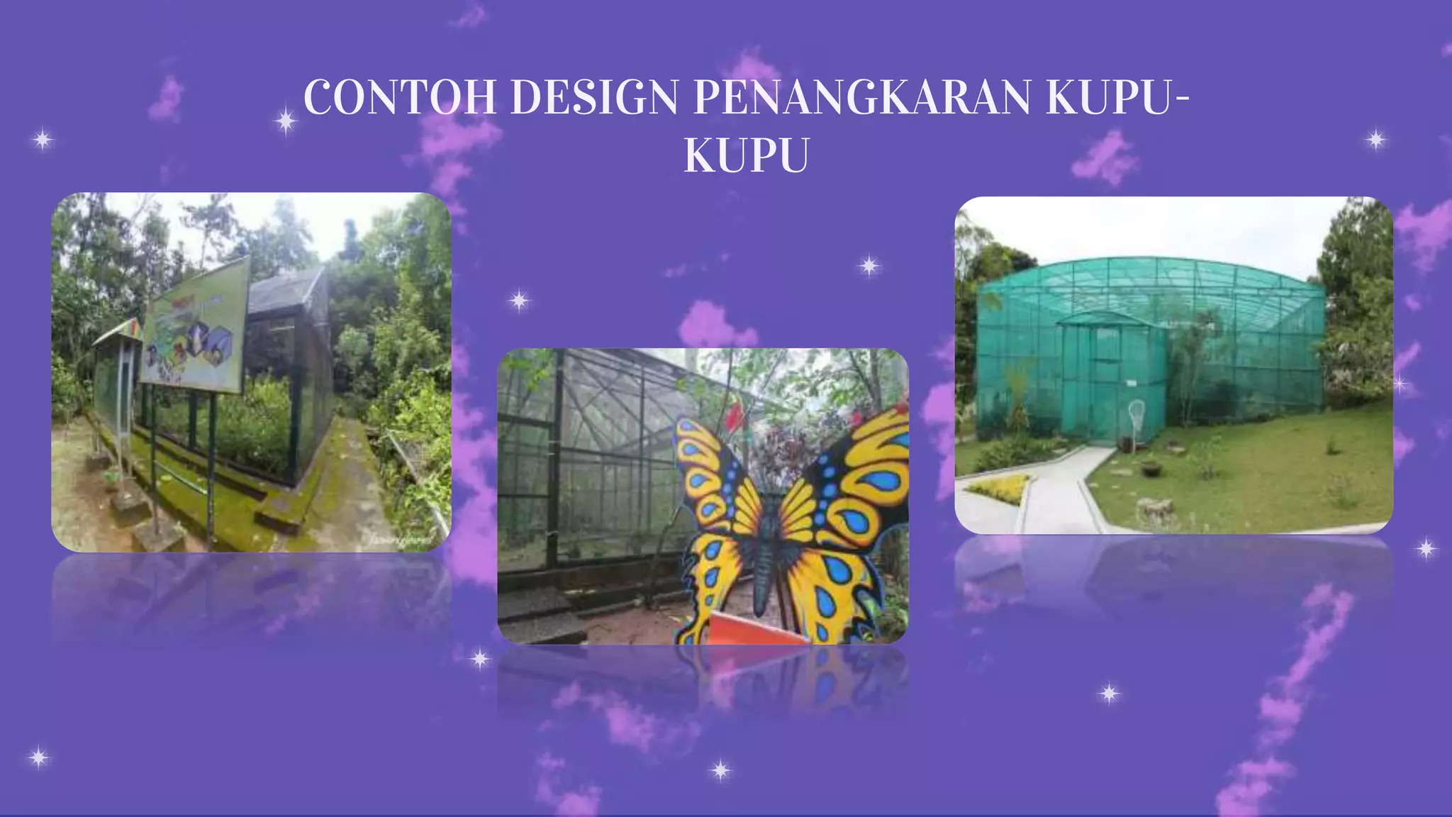 PPT KEL 5 KUPU-KUPU (1)-1.pptx