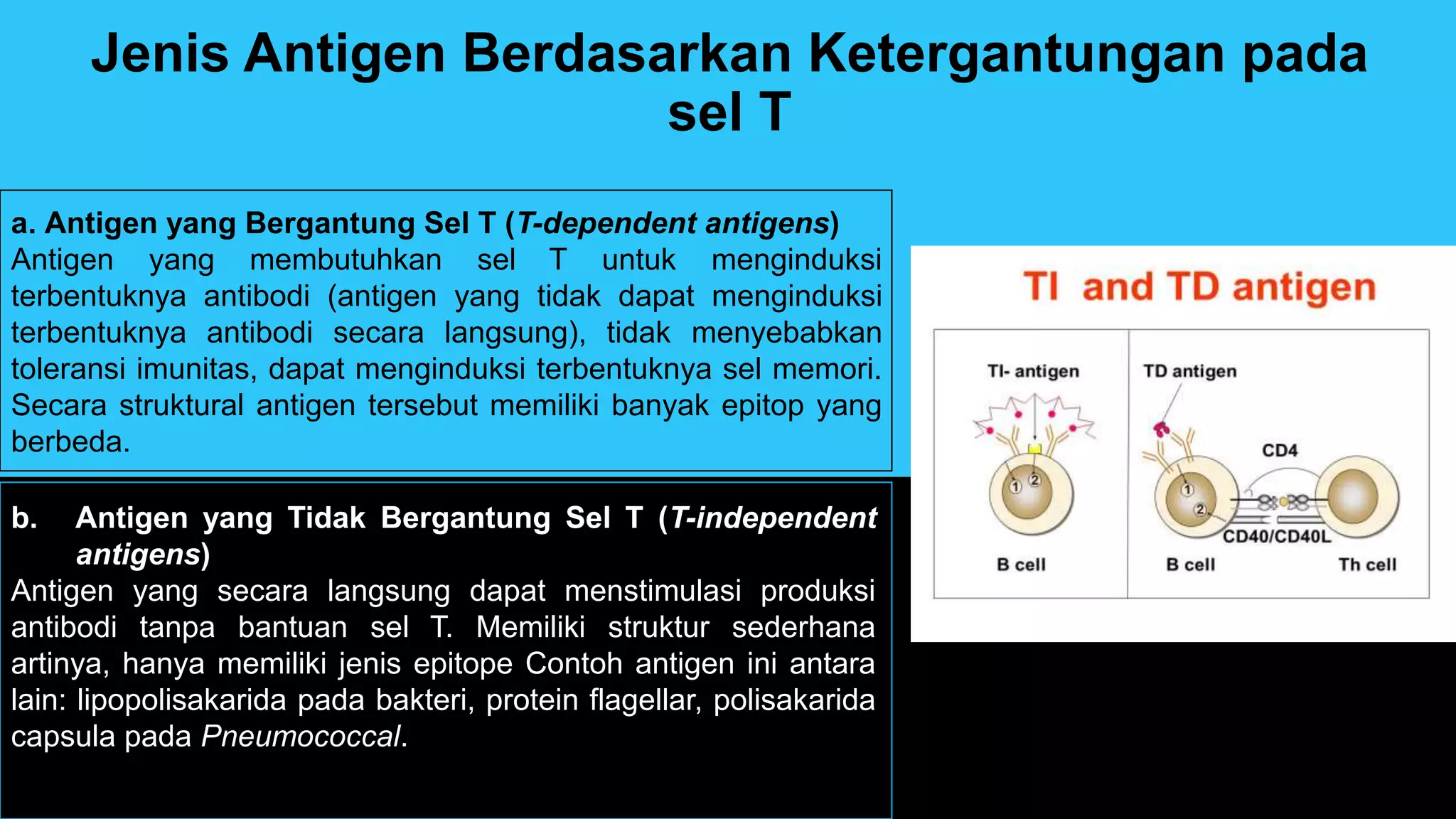 PERMUKAAN SEL | PPTX
