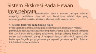 ppt fisiologi hewan kelompok 6 pada sistem ekskresi hewan | PPTX