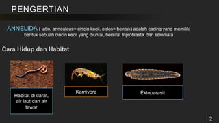Annelida | PPTX