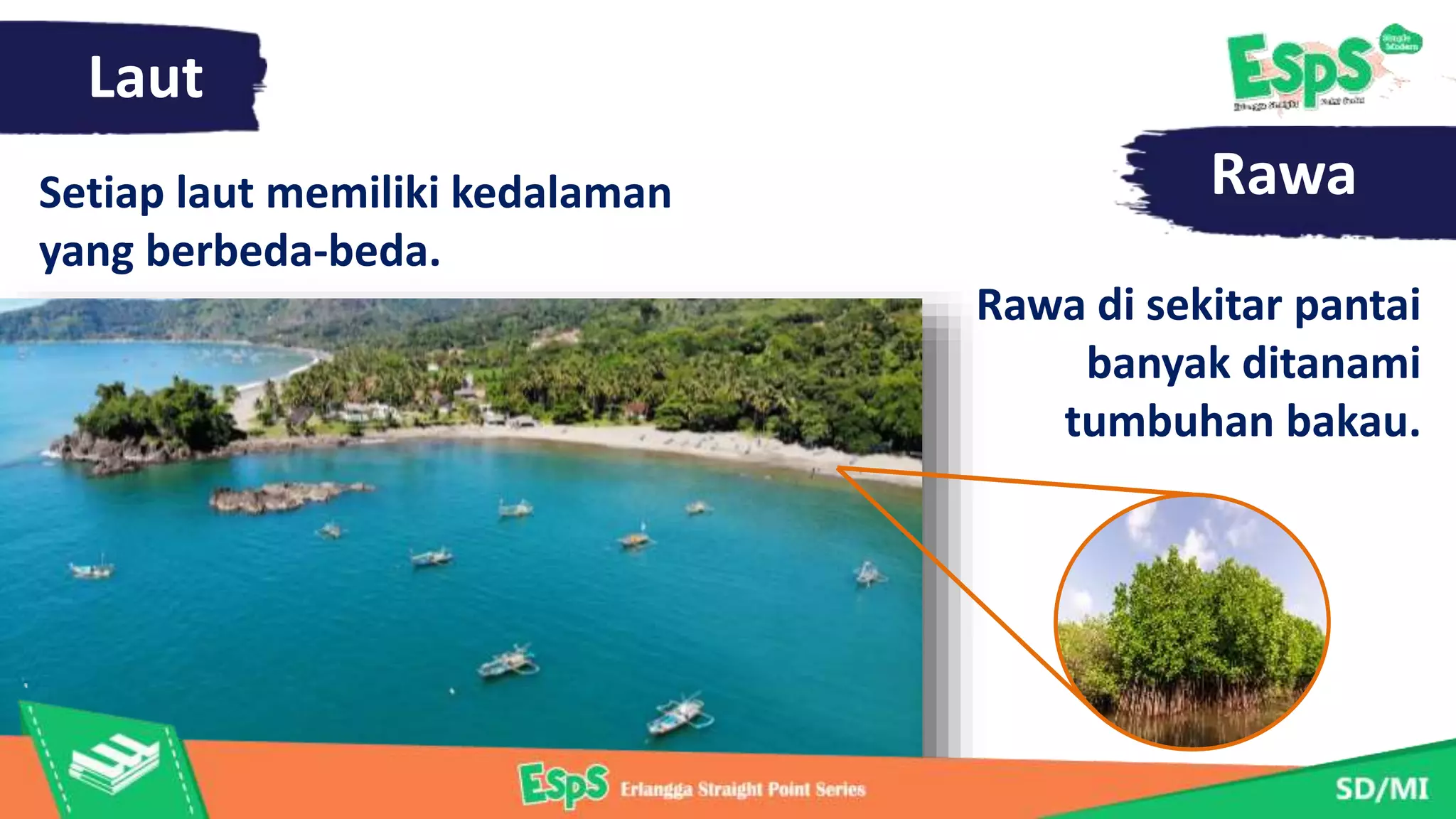 PPT Kelas 4 - IPAS Bab 5 Kenampakan Alam dan Pemanfaatannya.pptx