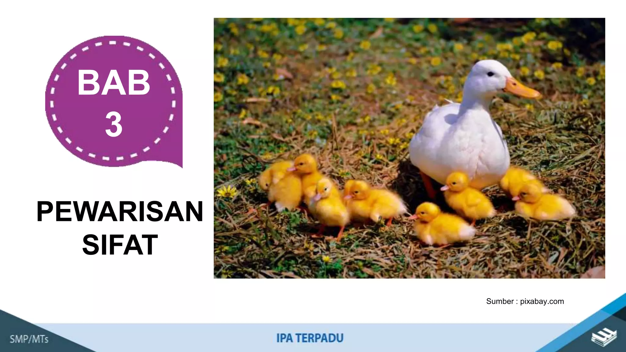 PPT KELAS 9 - PEWARISAN SIFAT.pptx