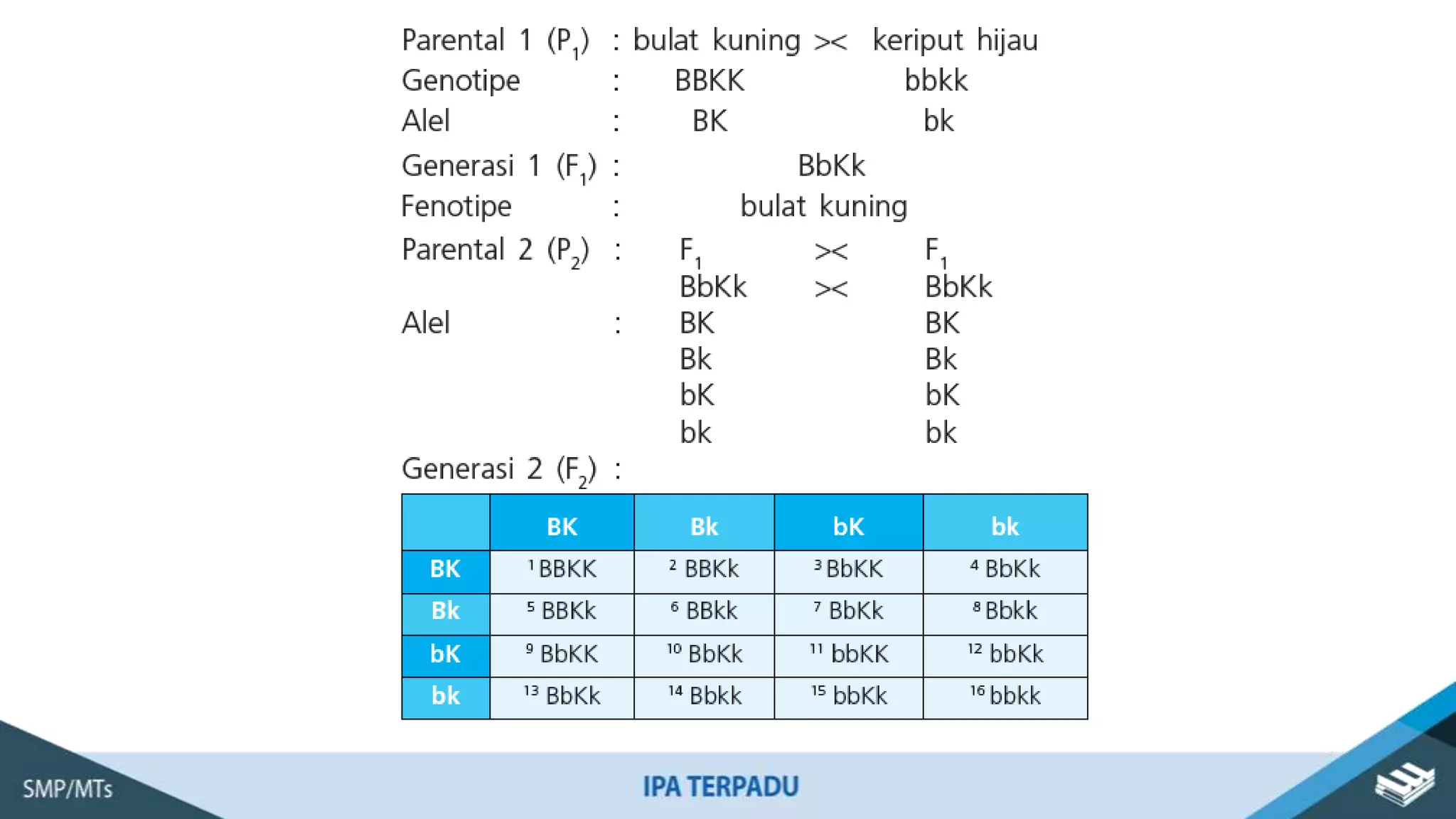 PPT KELAS 9 - PEWARISAN SIFAT.pptx