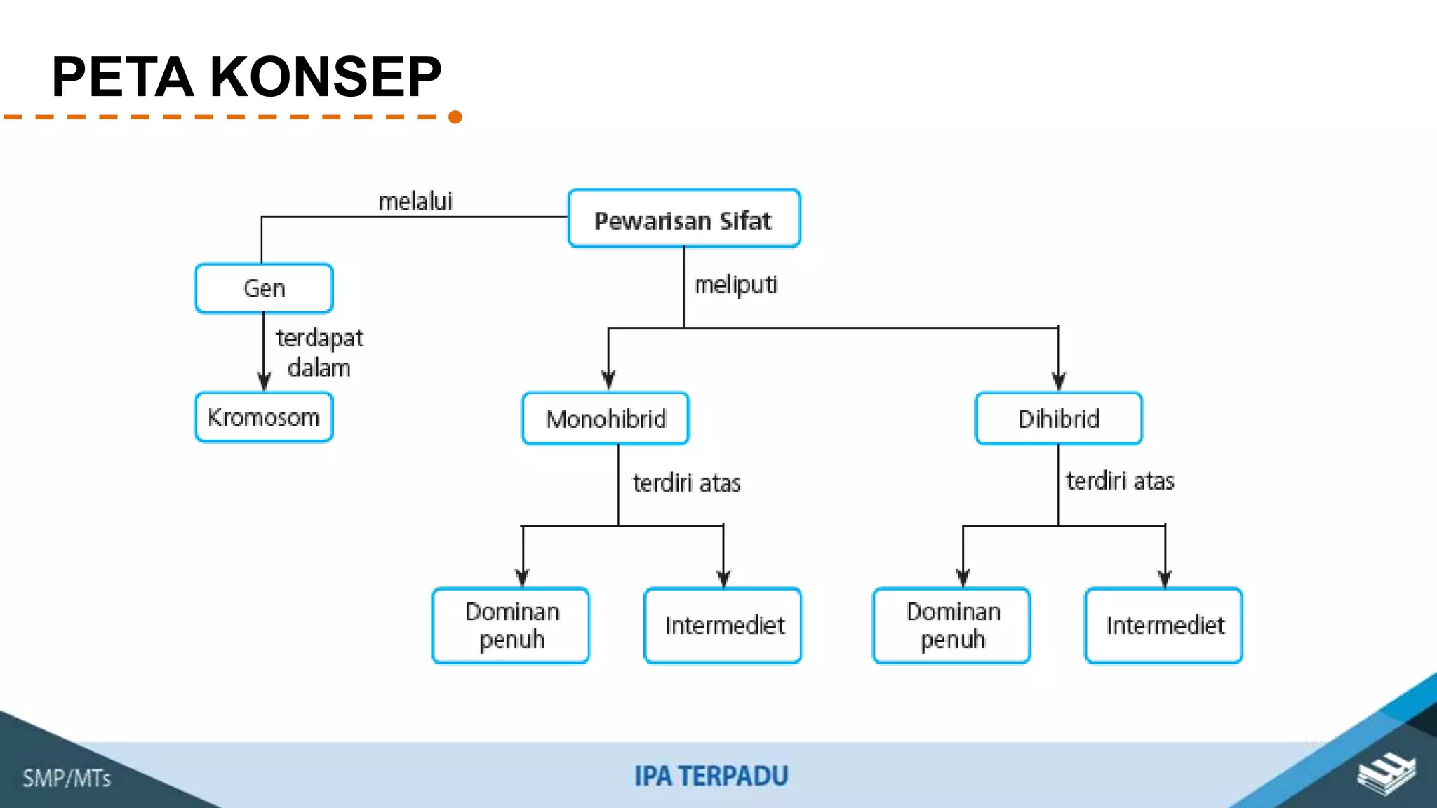 PPT KELAS 9 - PEWARISAN SIFAT.pptx