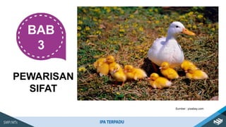 PPT KELAS 9 - PEWARISAN SIFAT.pptx