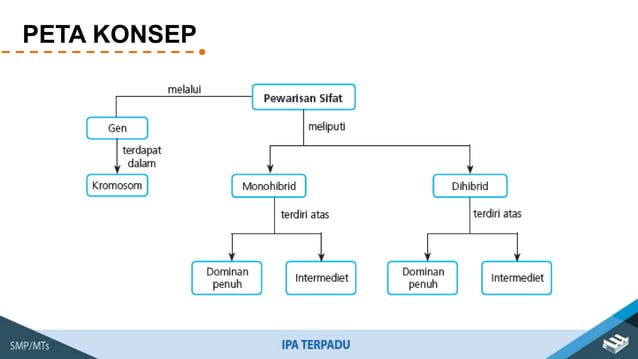 PPT KELAS 9 - PEWARISAN SIFAT.pptx