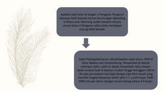 judul pembuatan planning salak di sidemo | PPTX