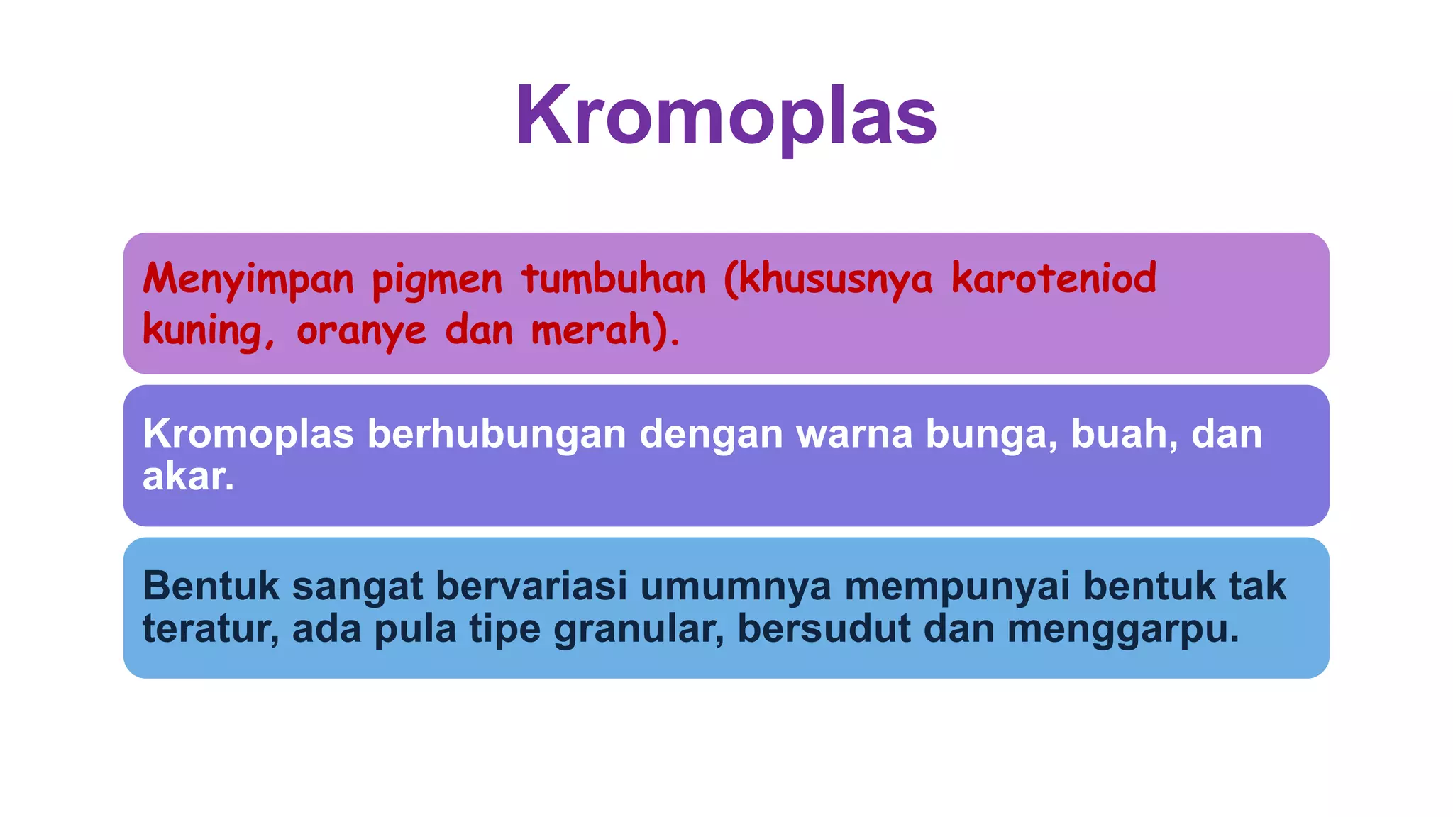 Ppt kelompok 1 anatomi tumbuhan sel protoplasmik pbio 3 a 2019 (17 ...