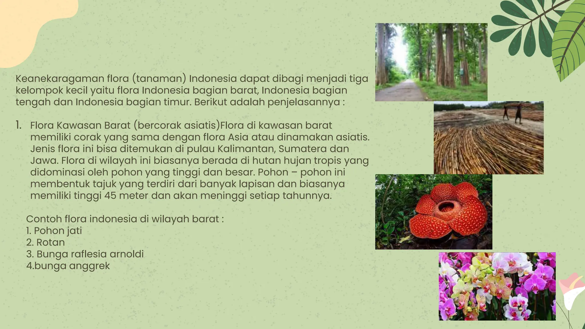 PPT KELOMPOK 1 BIOLOGI.pptx