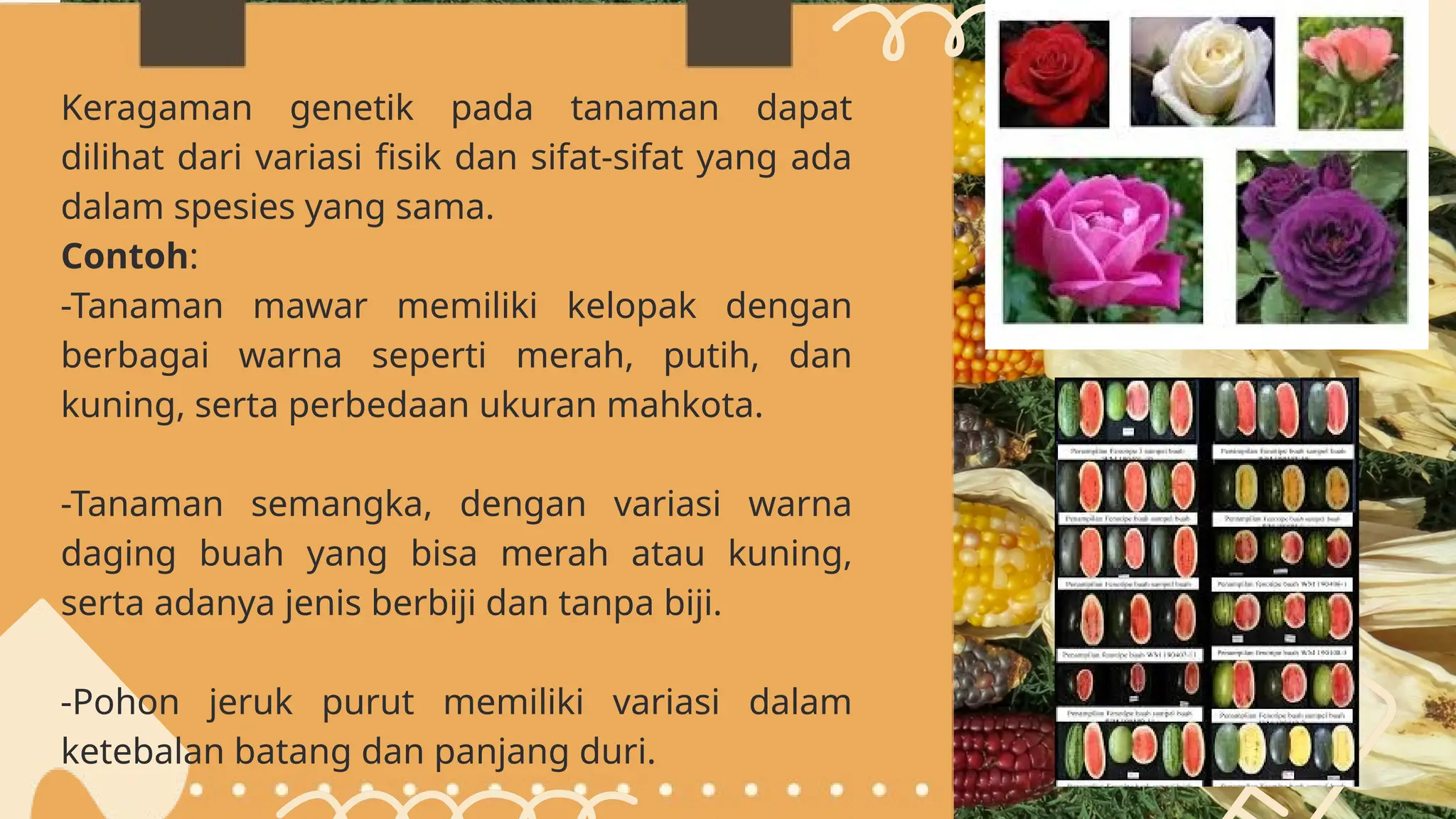 KERAGAMAN GENETIK pada tanaman. genetika | PPTX