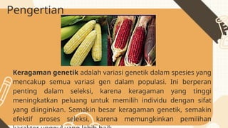 KERAGAMAN GENETIK pada tanaman. genetika | PPTX