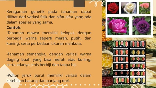 KERAGAMAN GENETIK pada tanaman. genetika | PPTX