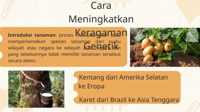 KERAGAMAN GENETIK pada tanaman. genetika | PPTX