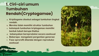 PPT KELOMPOK 1 TAKSONOMI TUMBUHAN-1.pptx