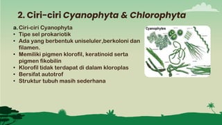 PPT KELOMPOK 1 TAKSONOMI TUMBUHAN-1.pptx