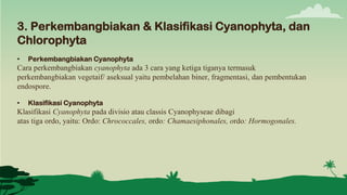 PPT KELOMPOK 1 TAKSONOMI TUMBUHAN-1.pptx