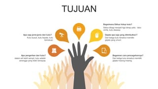 Morfologi kutu busuk, kutu rambut, kutu kemaluan | PPTX