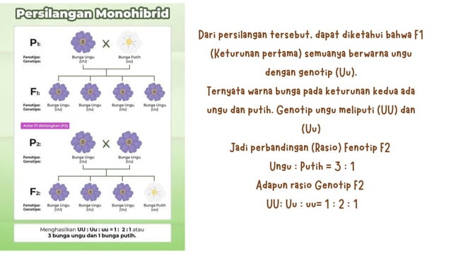 Ppt kelompok 2 Genetika 2.pdf