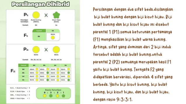 Ppt kelompok 2 Genetika 2.pdf