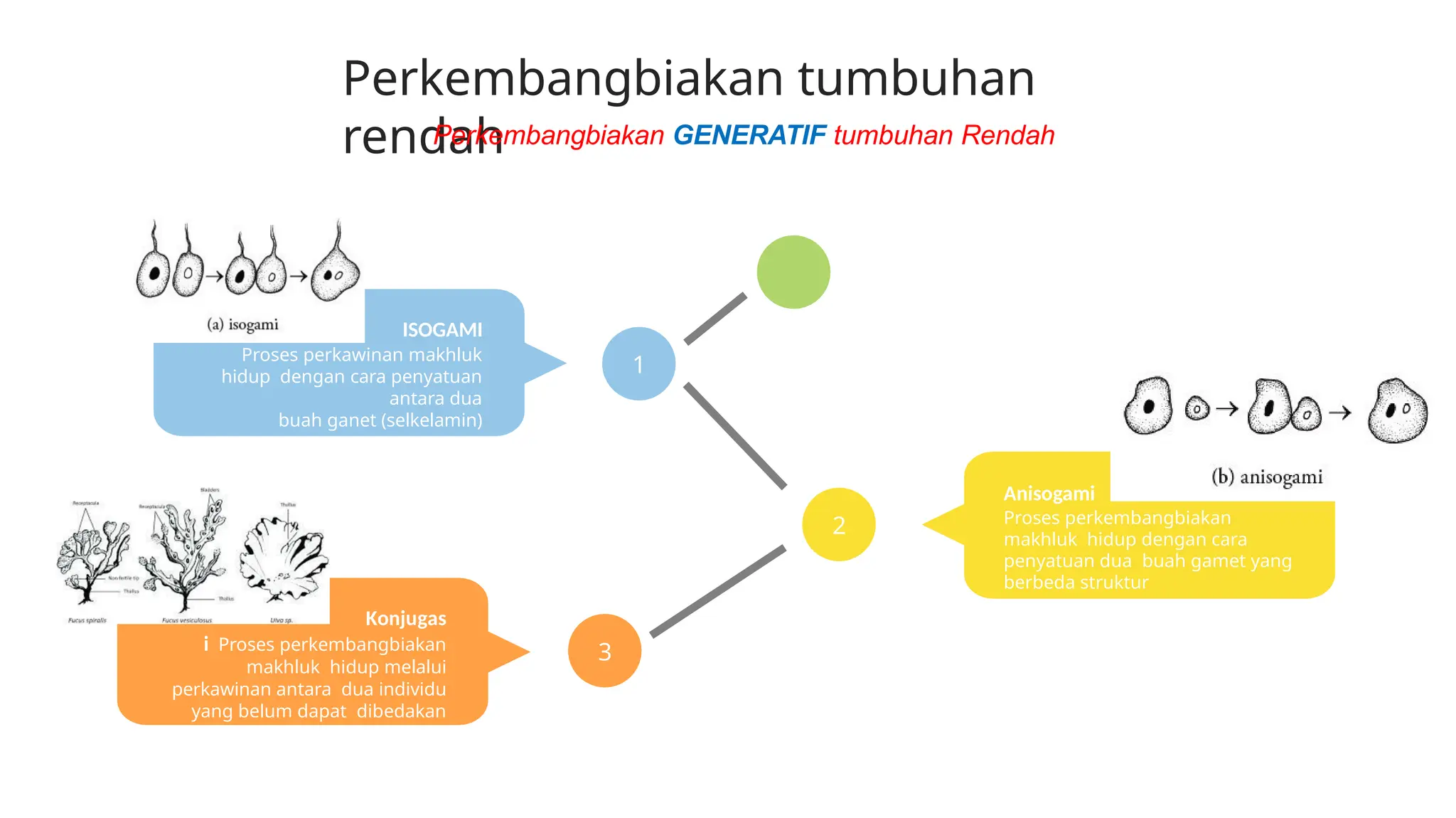 PPT KELOMPOK 2 MODUL 4 perkembangbiakan makhluk hidup .pptx