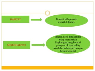 Ppt kelompok 2 relung pada hewan | PPTX