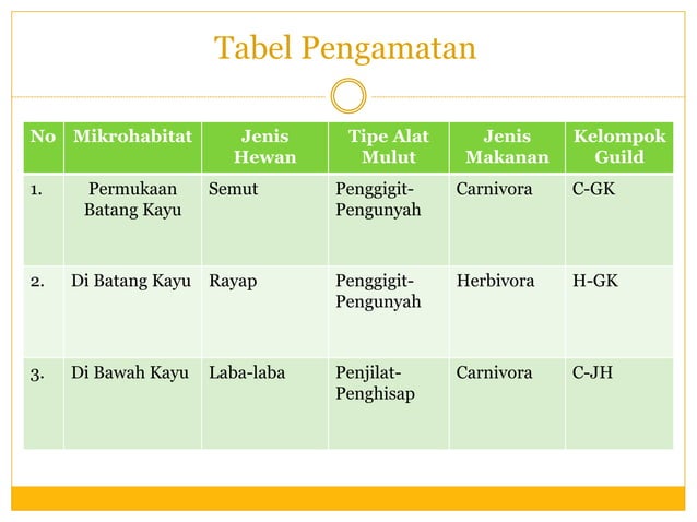 Ppt kelompok 2 relung pada hewan | PPTX