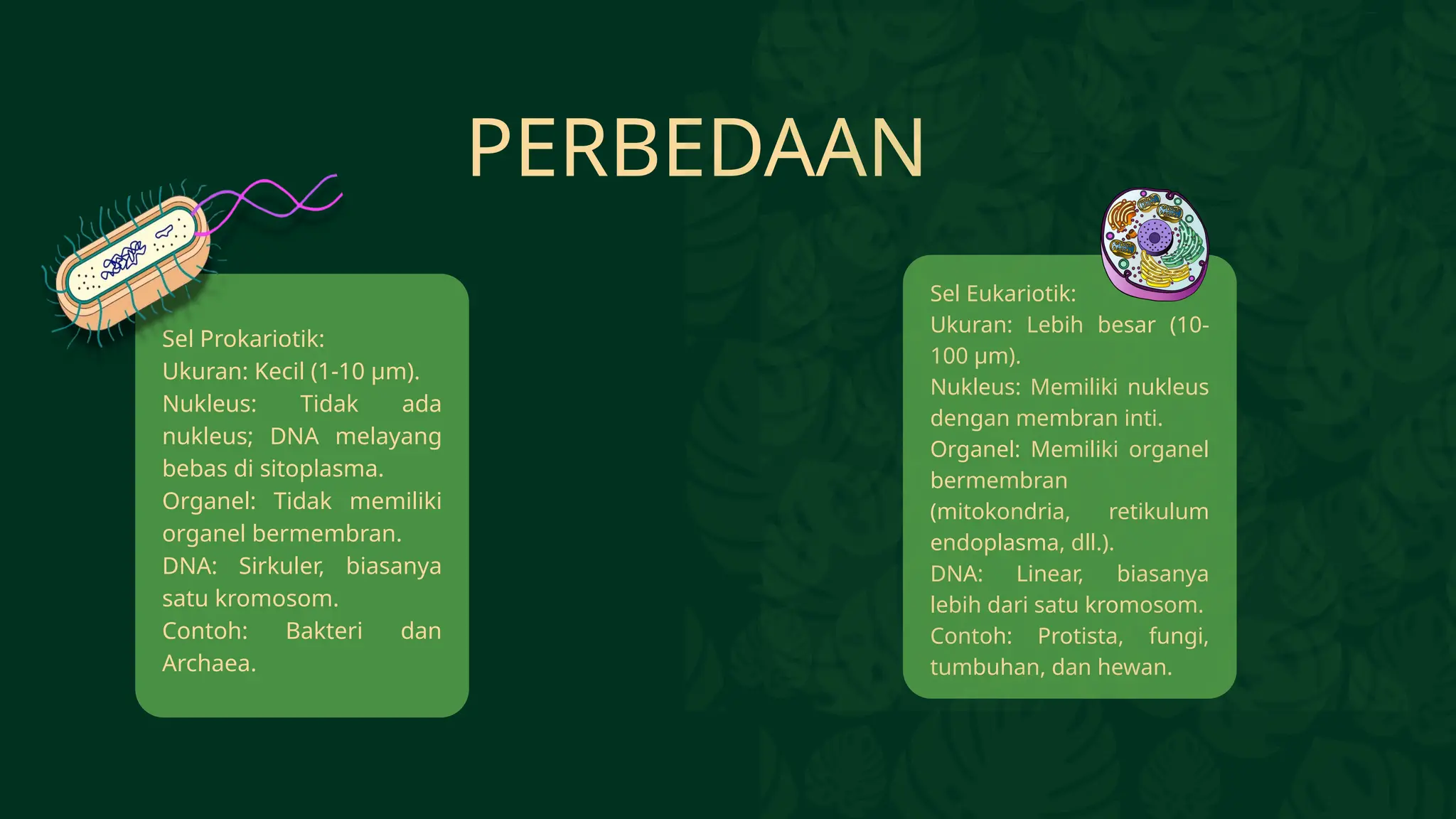 PPT Materi Bab 1 Sel Prokariotik dan eukariotikpptx | PPT