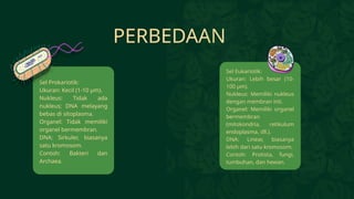 PPT Materi Bab 1 Sel Prokariotik dan eukariotikpptx | PPT