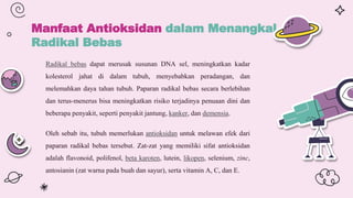 ppt kelompok 3 pangan funsional.pptx