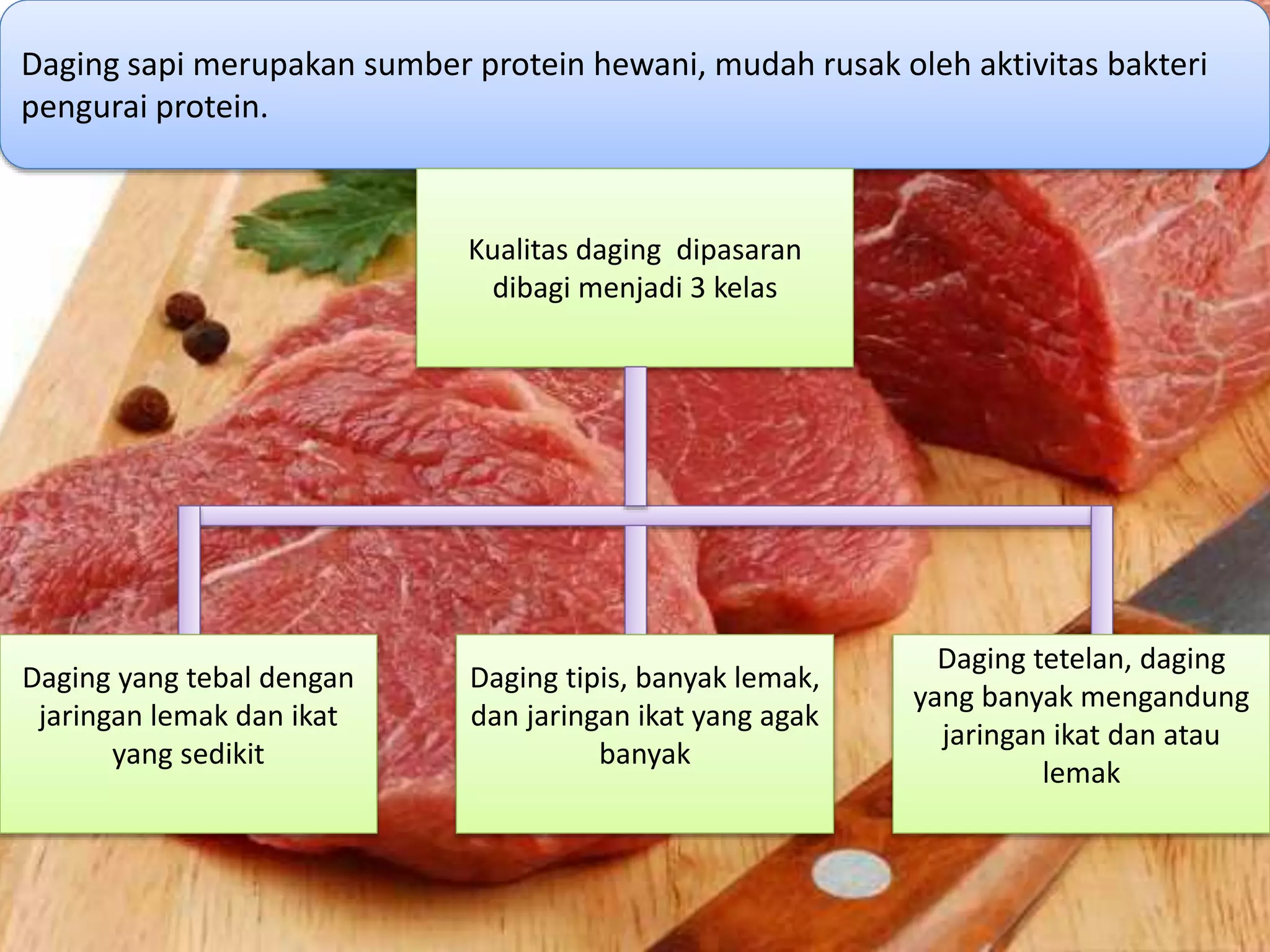 Teknologi Industri Pengolahan Daging | PPTX