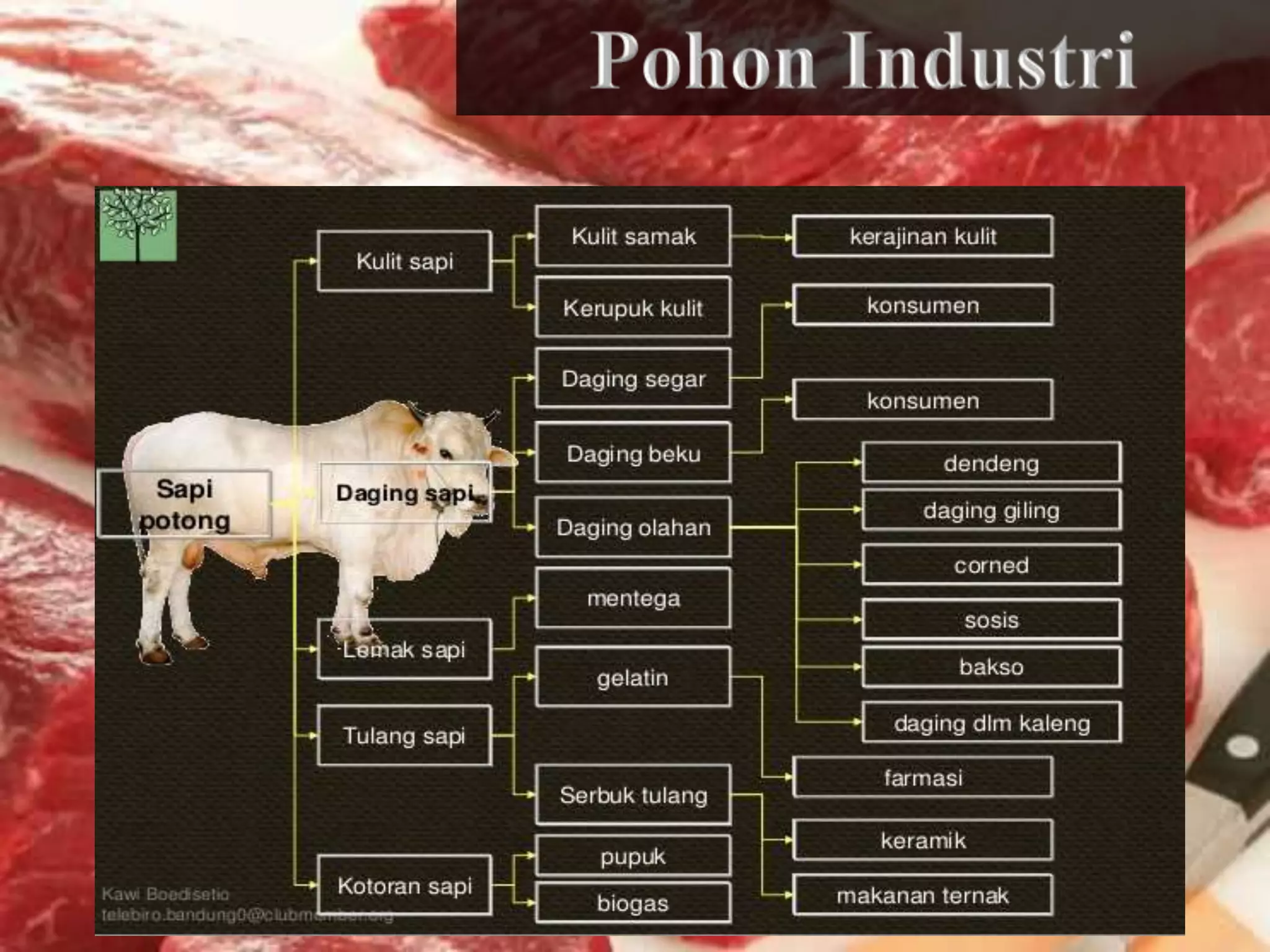 Teknologi Industri Pengolahan Daging | PPTX