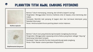 embung potorono di yogyakarta oleh kelompok | PDF