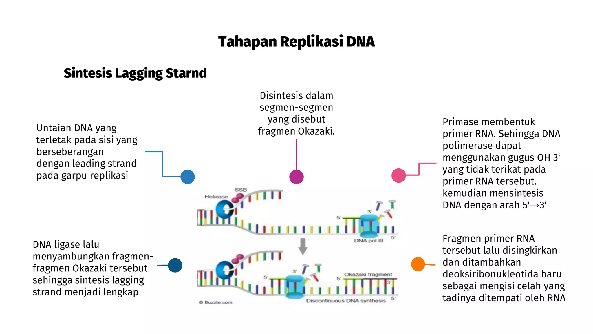 PPT Kelompok 4 Genetika.pdf