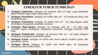 PPT KELOMPOK 4 MODUL 4.pptx