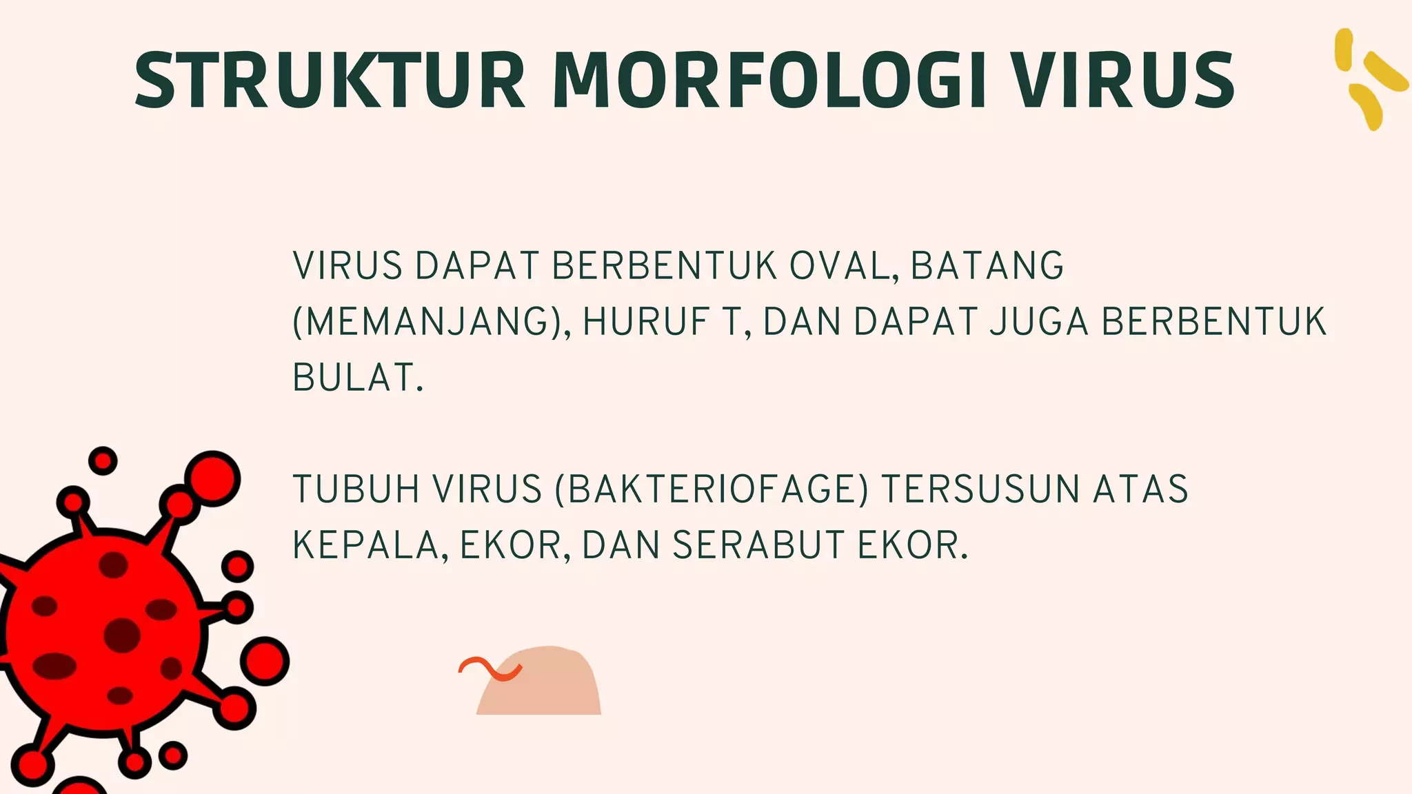 Ppt KELOMPOK 4 VIRUS (1).pptx