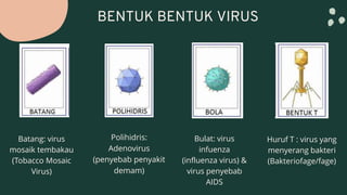 Ppt KELOMPOK 4 VIRUS (1).pptx