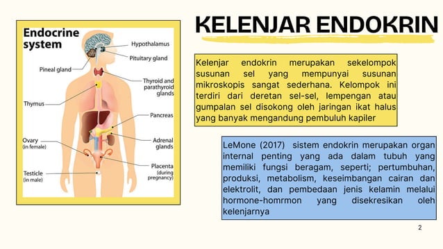 PPT KELOMPOK 5 SISTEM ENDOKRIN_20250615_182520_0000.pdf
