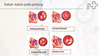 PPT kelompok 6 Anatomi dan Fisiologi Tubuh Manusia.pptx