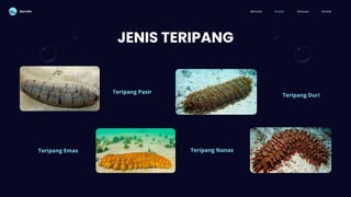 PPT Kelompok 6 (Teripang-Lobster)... .pdf