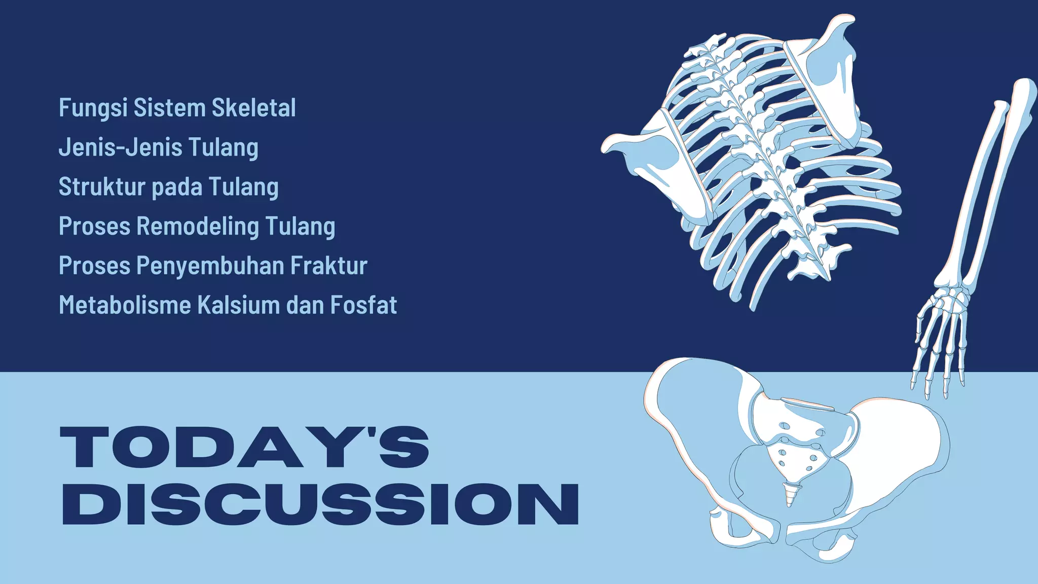 Sistem Skeletal | PDF