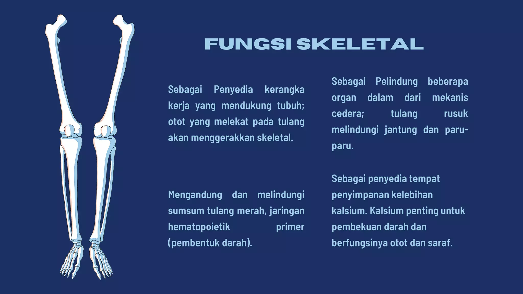 Sistem Skeletal | PDF