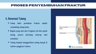 Sistem Skeletal | PDF